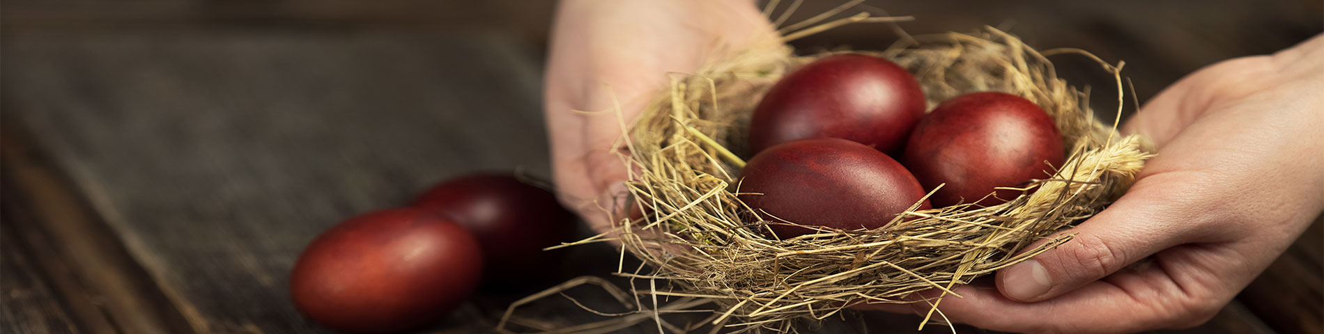 Dark Brown Egg Layers – The Chick Hatchery
